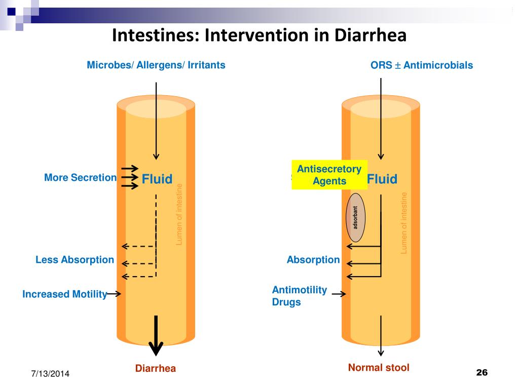 PPT - Pharmacotherapy of GI Motility Disorders (Constipation & Diarrhea ...