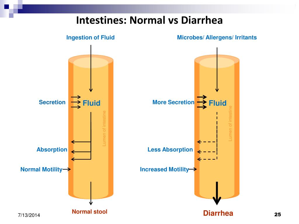 PPT - Pharmacotherapy of GI Motility Disorders (Constipation & Diarrhea ...