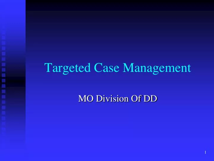 PPT - Targeted Case Management PowerPoint Presentation, free download ...