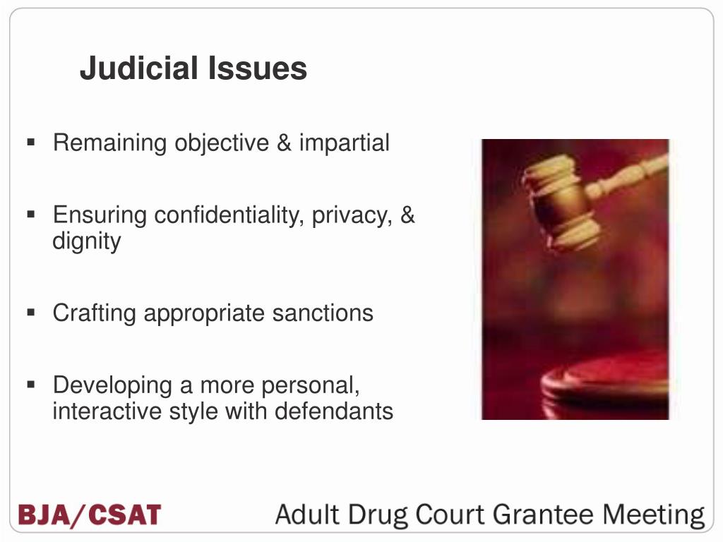 PPT - Ethical Issues in Adult Drug Treatment Courts PowerPoint ...