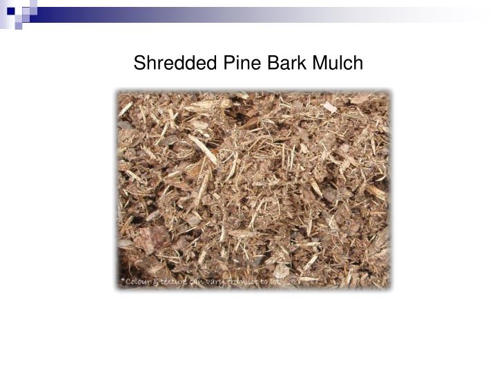 PPT - Mulching PowerPoint Presentation - ID:1750938