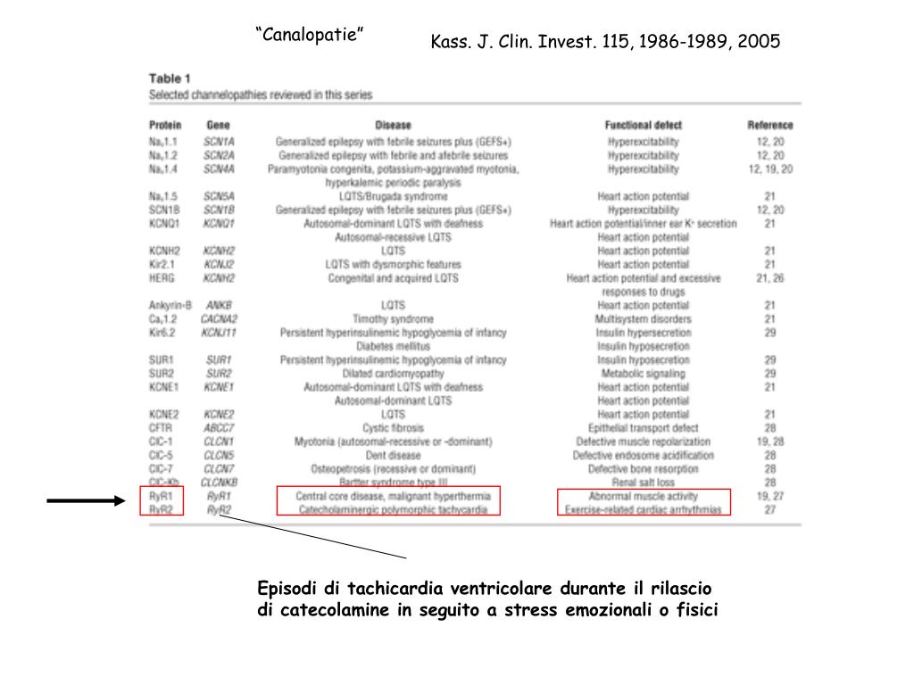 PPT - Recettori accoppiati a proteine G trimeriche (I) PowerPoint ...