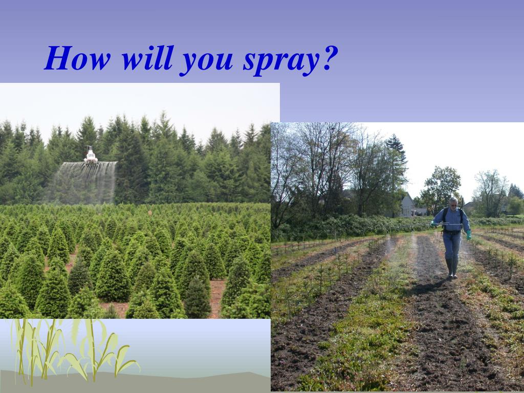 PPT - Integrated Pest Management and Pesticides PowerPoint Presentation ...