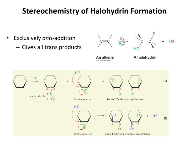 PPT - Monosubstituted Cyclohexanes PowerPoint Presentation - ID:1752018