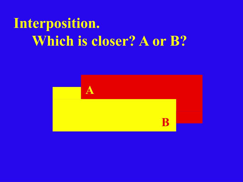 PPT - Which woman is taller? PowerPoint Presentation, free download ...