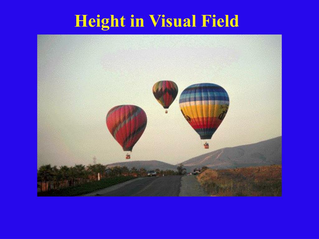 PPT - Which woman is taller? PowerPoint Presentation, free download ...