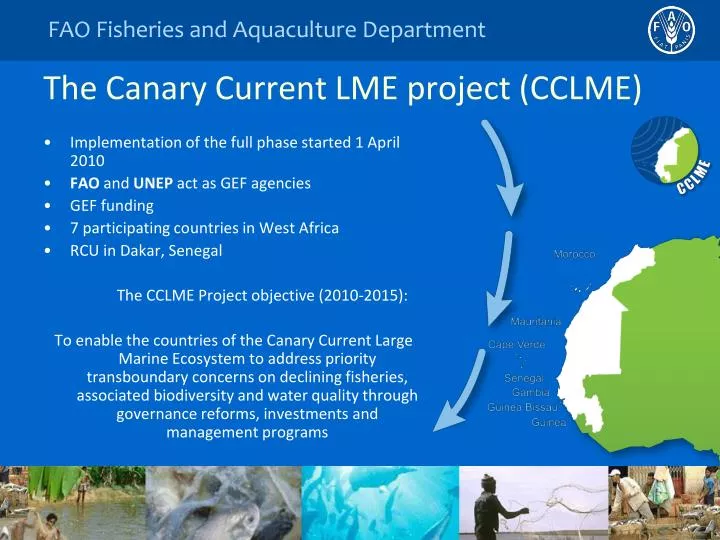 PPT - The Canary Current LME project (CCLME) PowerPoint Presentation ...