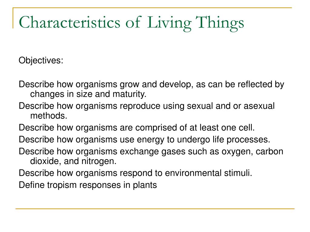 PPT - Characteristics of Living Things PowerPoint Presentation, free ...