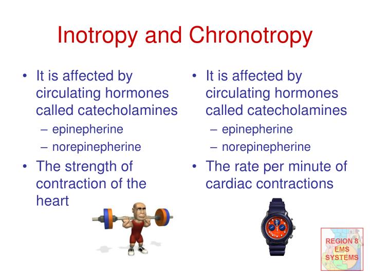 PPT - Shock More than just low blood pressure PowerPoint Presentation ...