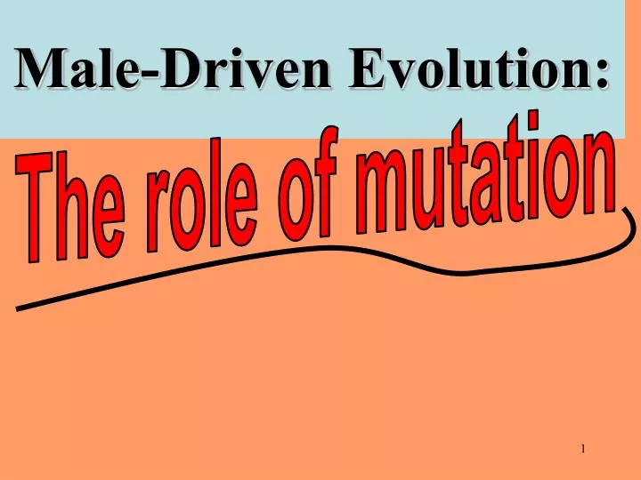 PPT - Male-Driven Evolution: PowerPoint Presentation, free download ...