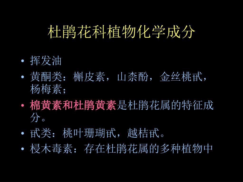 PPT - 合瓣花亚纲 Sympetalae PowerPoint Presentation, free download - ID:1754938