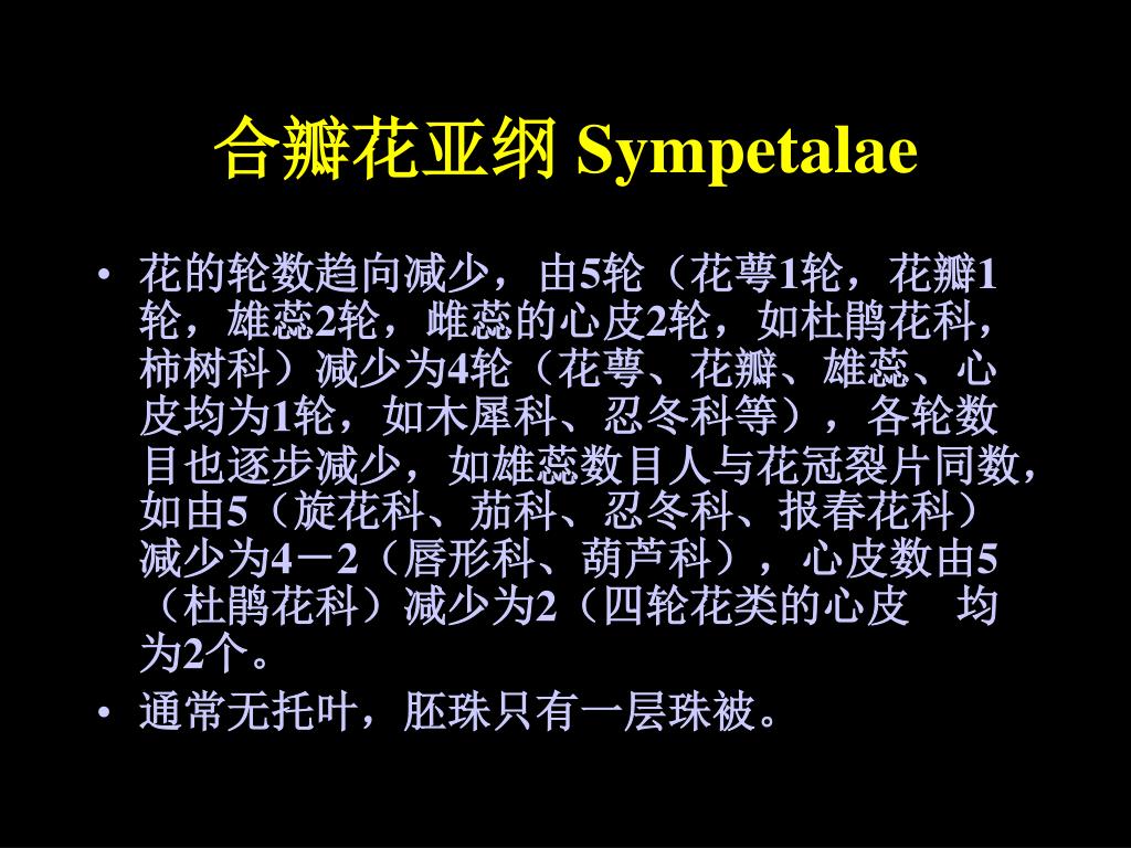 PPT - 合瓣花亚纲 Sympetalae PowerPoint Presentation, free download - ID:1754938