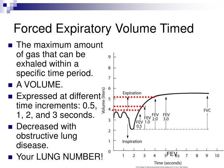 PPT - PULMONARY FUNCTION MEASUREMENTS PowerPoint Presentation - ID:1755704
