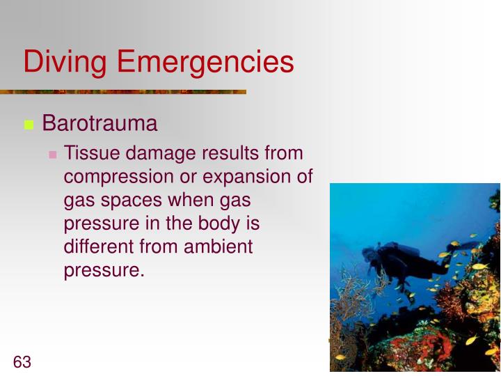 PPT - Environmental Emergencies PowerPoint Presentation - ID:1755761