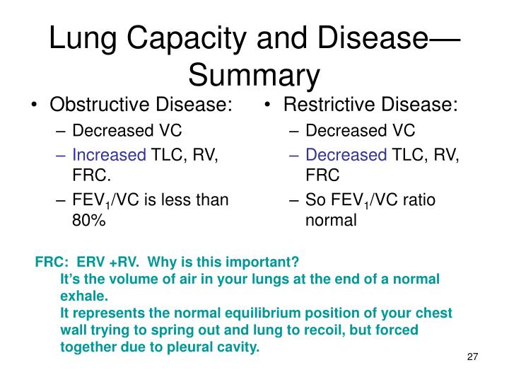 PPT - Pulmonary Ventilation PowerPoint Presentation - ID:1755826