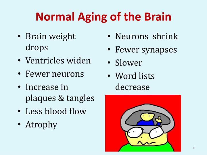 PPT - Neurobics: Exercising the Brain Body Connection PowerPoint ...