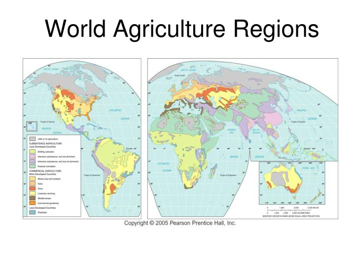 PPT - Agriculture PowerPoint Presentation - ID:1756594