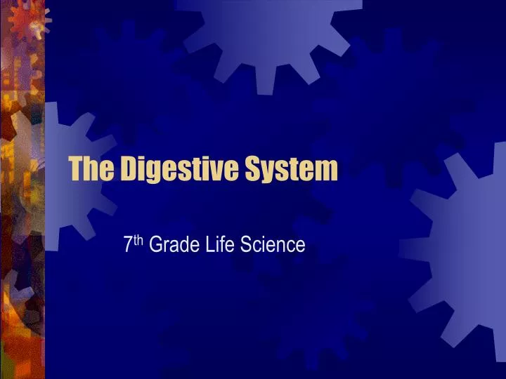 PPT - The Digestive System PowerPoint Presentation, free download - ID ...