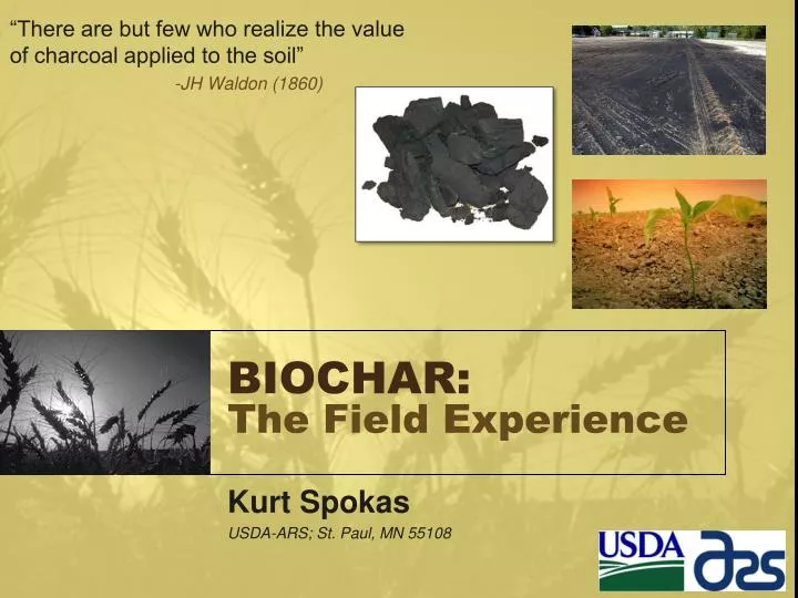 PPT - BIOCHAR: The Field Experience PowerPoint Presentation, free download - ID:1757063