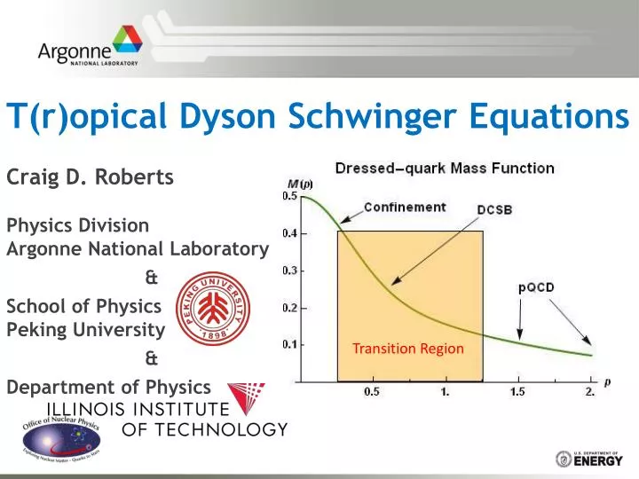 PPT - T(r) opical Dyson Schwinger Equations PowerPoint Presentation ...