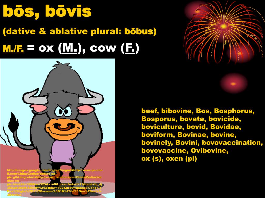 PPT - Chapter 15 PowerPoint Presentation, free download - ID:1757970