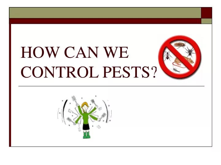 PPT - HOW CAN WE CONTROL PESTS? PowerPoint Presentation, free download ...