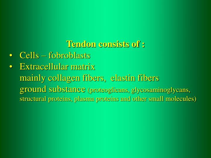 PPT - Tendon injuries PowerPoint Presentation - ID:1758372