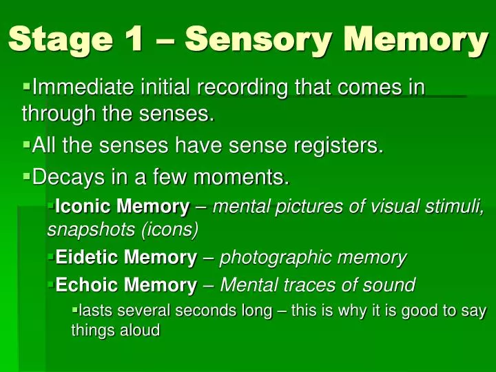 PPT - Stage 1 – Sensory Memory PowerPoint Presentation, free download ...