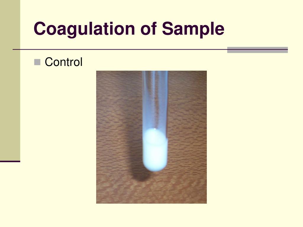 PPT - Food Enzymes: Friend or Foe? A Great Teaching Topic PowerPoint ...