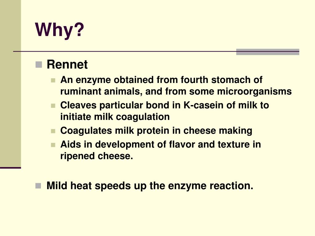 PPT - Food Enzymes: Friend or Foe? A Great Teaching Topic PowerPoint ...