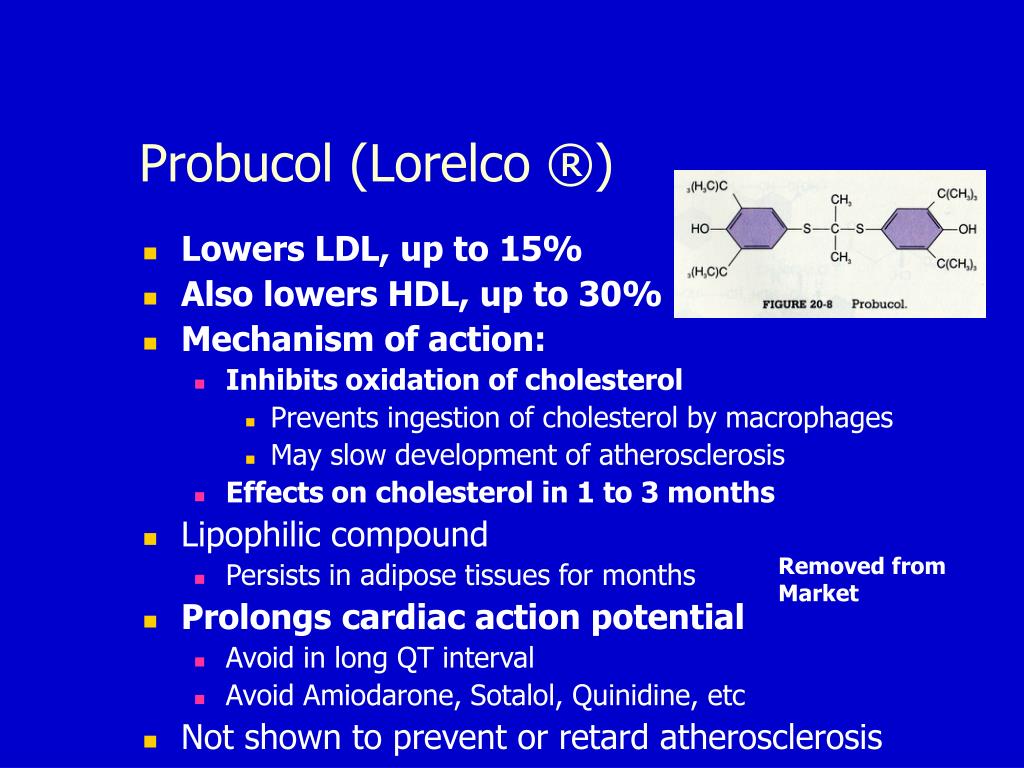 PPT - Drug Treatment of Hyperlipidemia PowerPoint Presentation, free ...