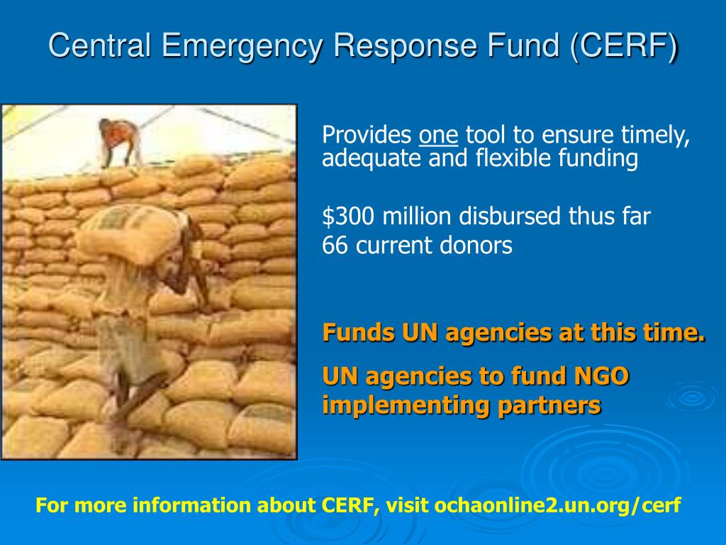 PPT - Humanitarian Reform (predictability, accountability, equity ...