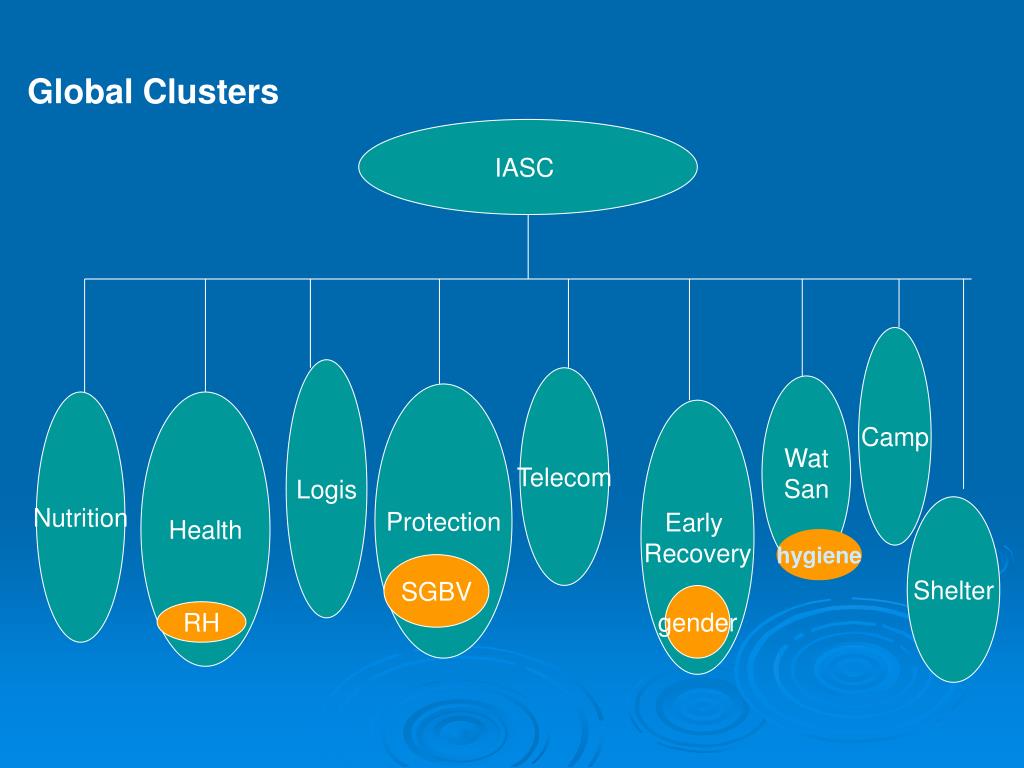 PPT - Humanitarian Reform (predictability, accountability, equity ...