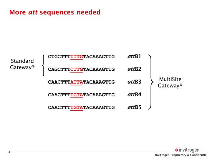 PPT - The Gateway® Cloning System PowerPoint Presentation - ID:1759421