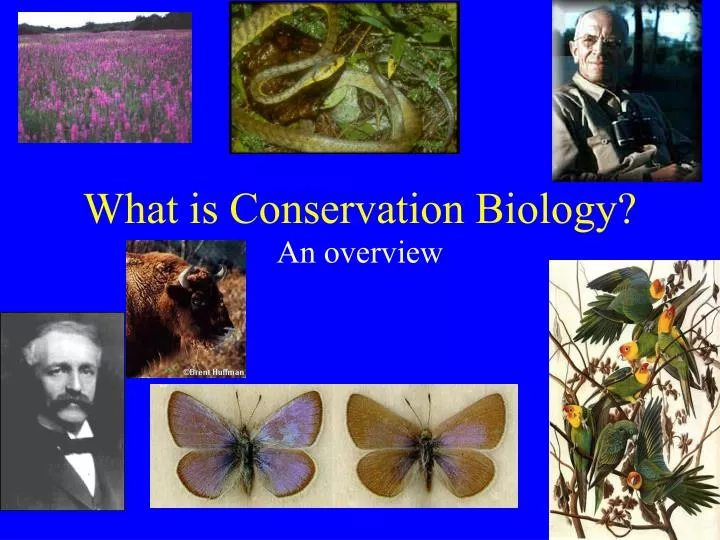 PPT - What is Conservation Biology? PowerPoint Presentation, free ...