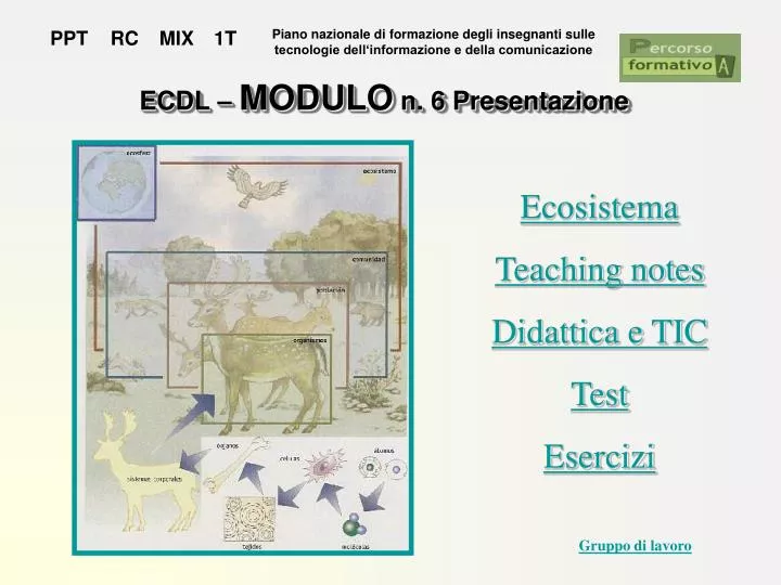 PPT - ECDL – MODULO n. 6 Presentazione PowerPoint Presentation, free download - ID:1759931