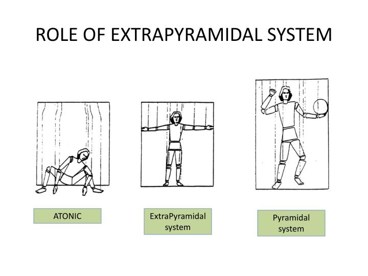 PPT - EXTRAPYRAMIDAL TRACTS & MOTOR NEURON LESIONS PowerPoint ...