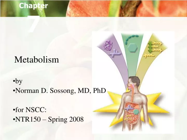 PPT - Metabolism PowerPoint Presentation, free download - ID:1761029