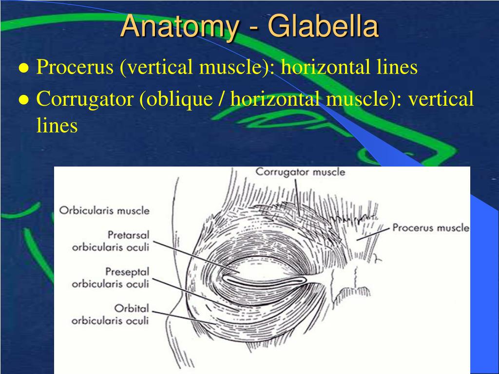PPT - Facial Plastic and Reconstructive Surgery Inservice Review ...