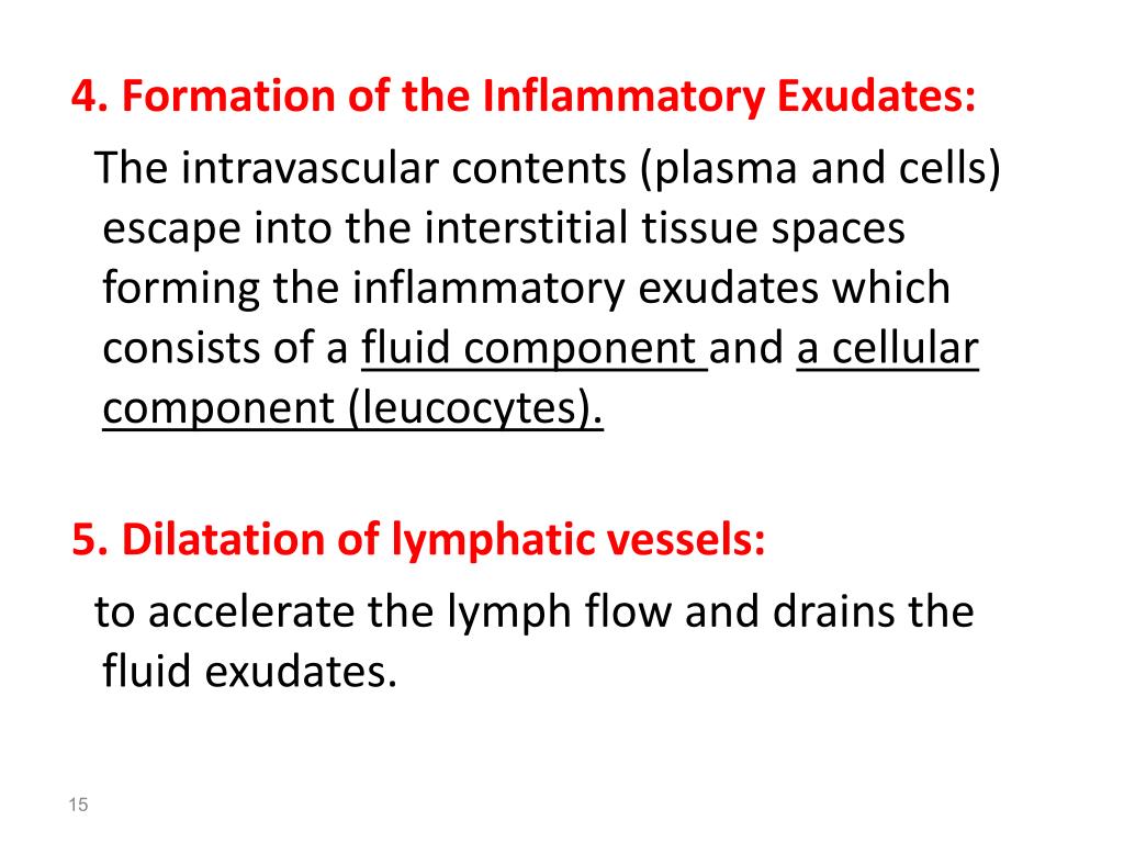 PPT - INFLAMMATION By Dr : Gehan M ohamed Dr. Abdelaty Shawky ...