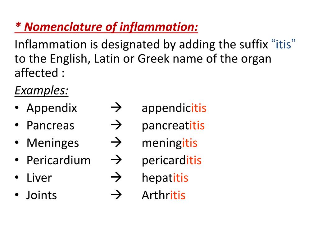 PPT - INFLAMMATION By Dr : Gehan M ohamed Dr. Abdelaty Shawky ...