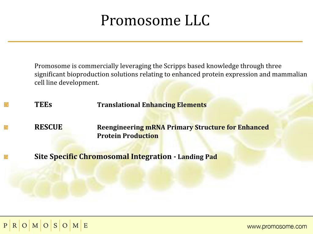 PPT - John F. Manzello President & CEO 369 Lexington Avenue, 17 th ...