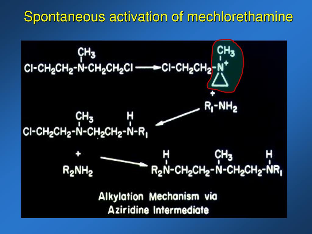 PPT - Nitrogen mustards: mustard gas used first during WWI. Leukopenia ...