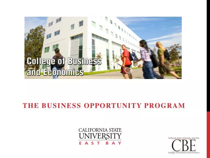 PPT - THE Business OPPORTUNITY PROGRAM PowerPoint Presentation, free ...