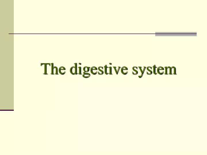 PPT - The digestive system PowerPoint Presentation, free download - ID ...