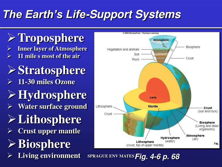 PPT - Ecosystems: Components, Energy Flow, and Matter Cycling ...