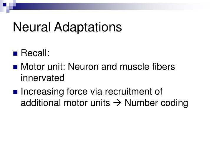 PPT - Neuromuscular Adaptation PowerPoint Presentation - ID:1769503