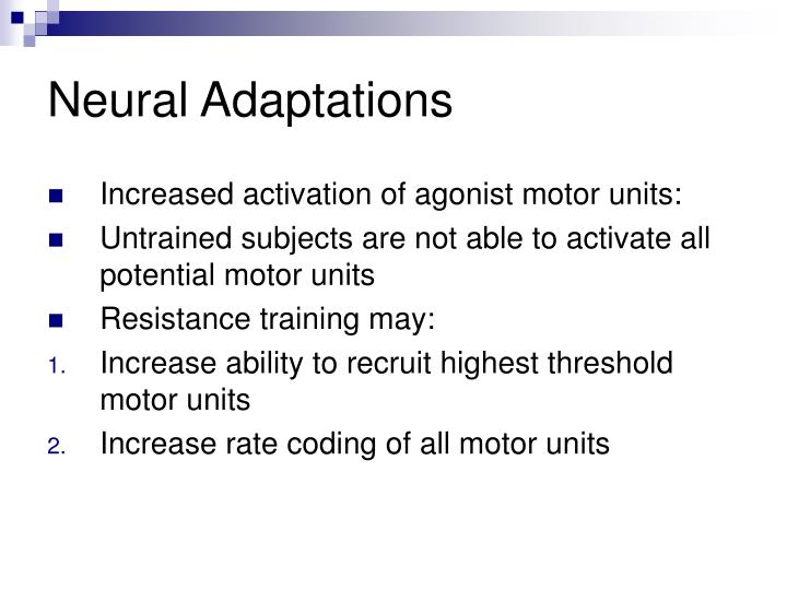 PPT - Neuromuscular Adaptation PowerPoint Presentation - ID:1769503