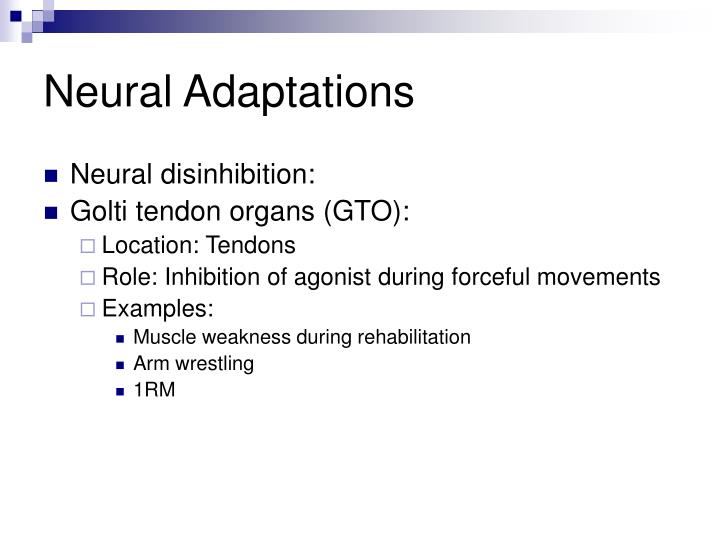 PPT - Neuromuscular Adaptation PowerPoint Presentation - ID:1769503
