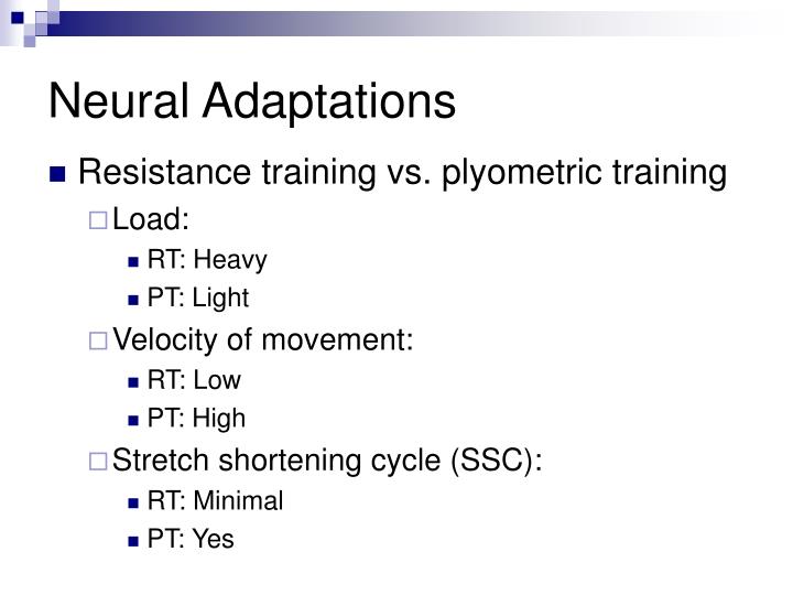 PPT - Neuromuscular Adaptation PowerPoint Presentation - ID:1769503